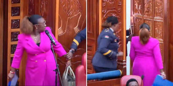 Gloria Orwoba Refuses Forced Apology and Storms Out of Senate - Kenyans.co.ke